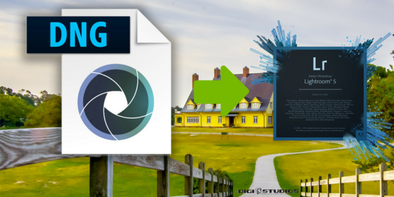 Guide to Preparing Raw Files in Adobe Lightroom! | Digi5studios Blog